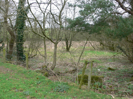 Mitchelstown Castle, MITCHELSTOWN, Mitchelstown, CORK - Buildings of ...