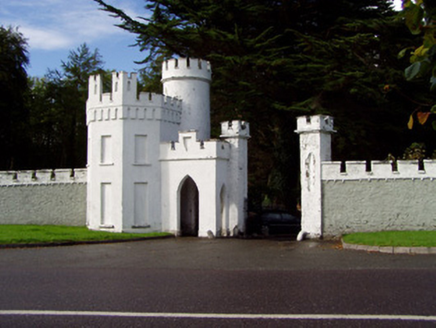 Drishane Castle, DRISHANE MORE, CORK - Buildings of Ireland