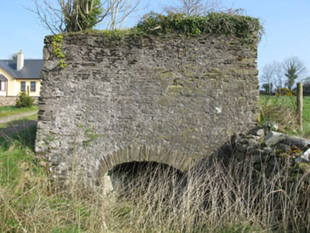 COOLANIDDANE, CORK - Buildings of Ireland