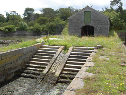 Fota House, FOATY, CORK - Buildings of Ireland