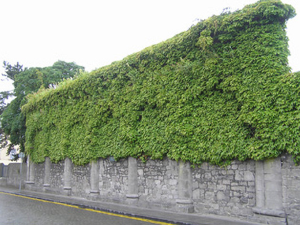 The Exchange, Nicholas Street, Limerick, LIMERICK - Buildings of Ireland