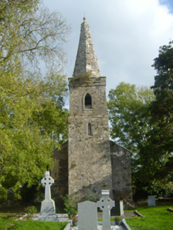 Saint Munchin's Church of Ireland Church, BALLYNOE, Bruree, LIMERICK ...