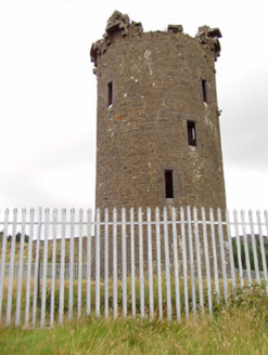 Barnane House, BARNANE (BARNANE-ELY PR), TIPPERARY NORTH - Buildings of ...