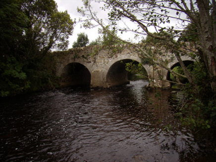TOMANY MORE, GALWAY - Buildings of Ireland