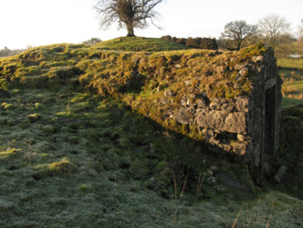 Castlemacgarrett, CASTLEMAGARRETPARK NEW, MAYO - Buildings of Ireland