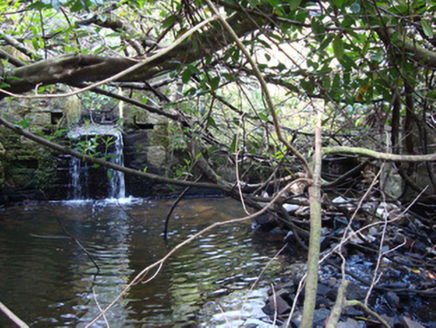 Rossmore Forest Park, MONAGHAN - Buildings of Ireland