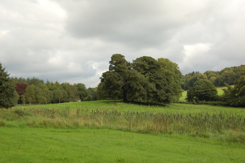 Coxtown Manor, Laghey, DG - Buildings of Ireland