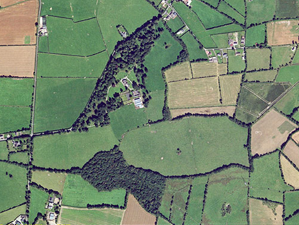 Martinstown House, East Offaly, Carn, Martinstown - Buildings of Ireland