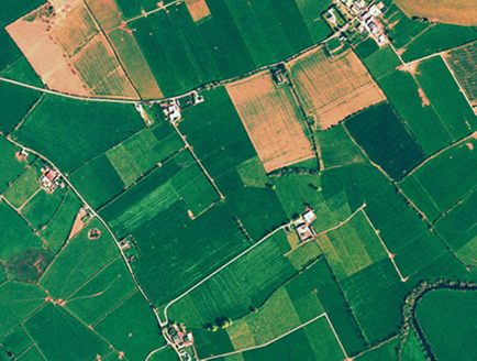 Ballyrobert Castle, Barrymore, Castlelyons, Ballyrobert - Buildings of ...