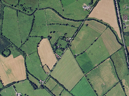 Mullagh House, Longford, Templemichael, Mullagh - Buildings of Ireland