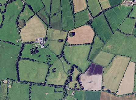 Gigginstown House, Delvin, Killulagh, Gigginstown - Buildings of Ireland