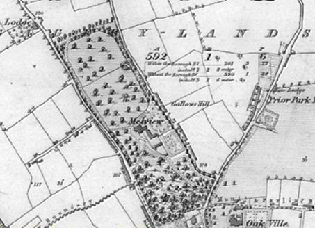 Melview, Iffa and Offa East, St. Mary's Clonmel, Burgagery-lands West ...