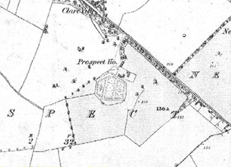 Prospect House, Clanwilliam, Stradbally, Prospect - Buildings of Ireland