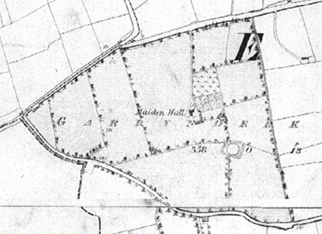 Maiden Hall, Coshma, Effin, Garrynderk South - Buildings of Ireland