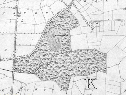 Martinstown House, East Offaly, Carn, Martinstown - Buildings of Ireland