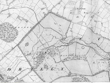 Brockley Park, Stradbally, Stradbally, Brockley Park - Buildings of Ireland