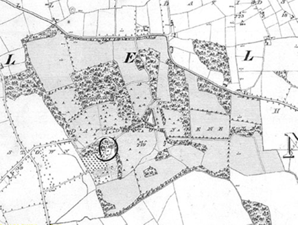 Davidstown House, Kilkea and Moone, Killelan, Davidstown Demesne ...