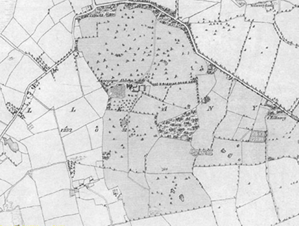 Annegrove Abbey, Maryborough West, Clonenagh and Clonagheen, Killeany ...