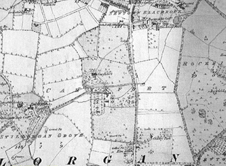 Carysfort, Rathdown, Stillorgan, Carysfort - Buildings of Ireland