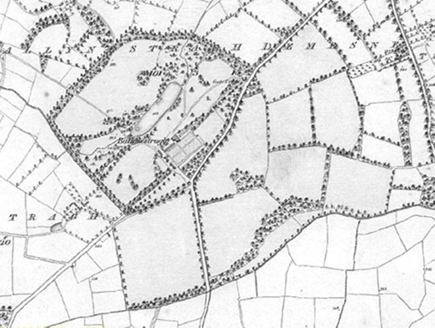 Ballynestragh, Gorey, Kilcavan, Ballynstragh Demesne - Buildings of Ireland