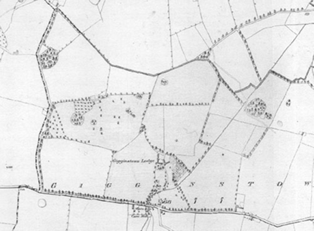 Gigginstown House, Delvin, Killulagh, Gigginstown - Buildings of Ireland