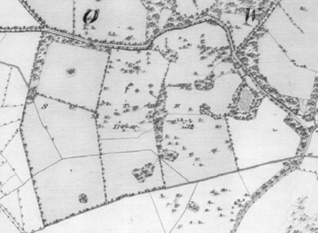 South Hill, Delvin, Castletowndelvin, Southhill - Buildings of Ireland