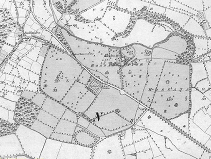 Rossana House, Newcastle, Rathnew, Rossana Upper - Buildings of Ireland