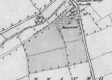 Beaumont, Upper Duleek, Duleek, Beaumont - Buildings of Ireland