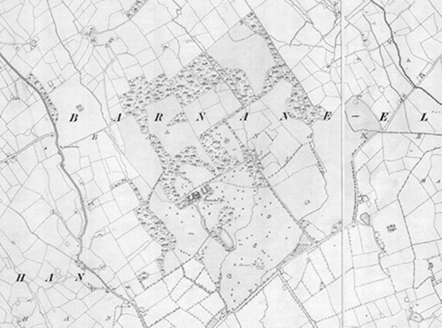Barnane House, Ikerrin, Barnaneely, Barnane - Buildings of Ireland